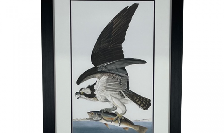 Vintage Fish Hawk – Funding Innovation